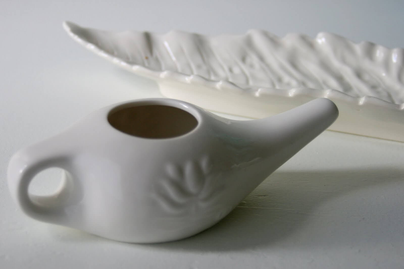 Ritrova il benessere con Jala Neti, la doccia nasale yogica